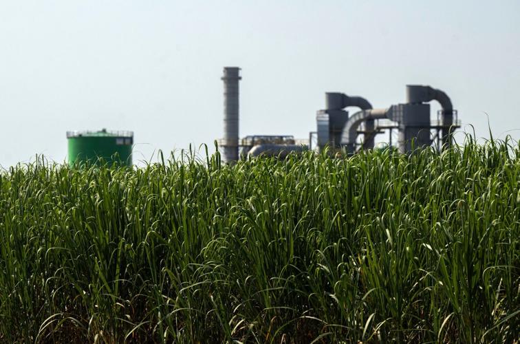 Louisiana plant to turn sugar cane bagasse into biofuel | News | nola.com