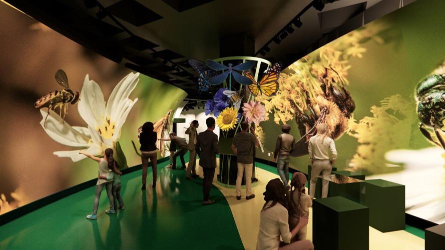 Audubon's new Aquarium and Insectarium set to reopen in June | Business ...