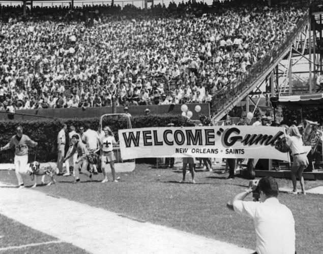 Gumbo rah-rah: How a St. Bernard dog became the New Orleans Saints ...