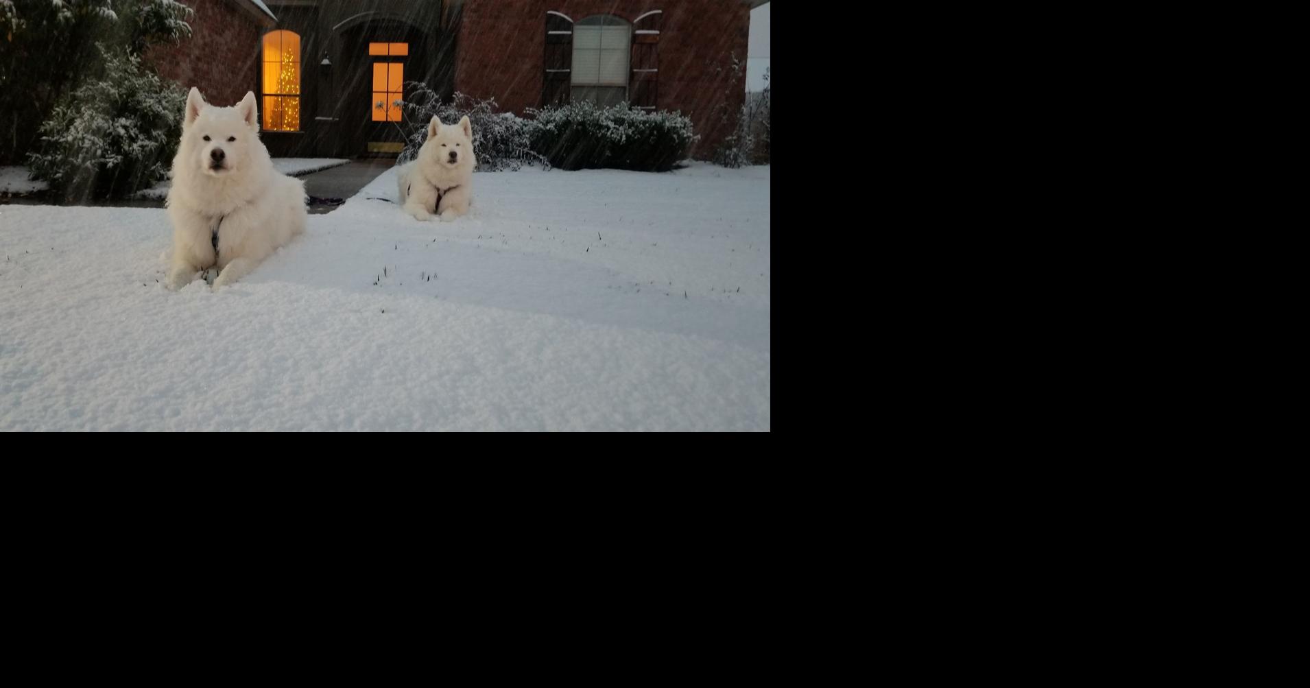 Your Baton Rouge snow day, Dec. 8, 2017: 50 reader-submitted photos of ...