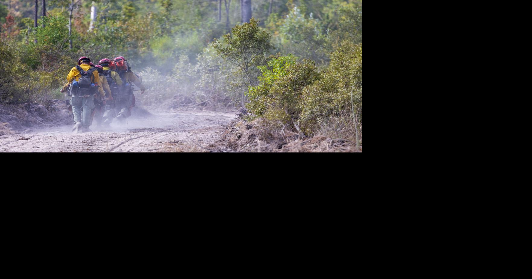 Tiger Island Fire was arson, Louisiana officials say | News | nola.com