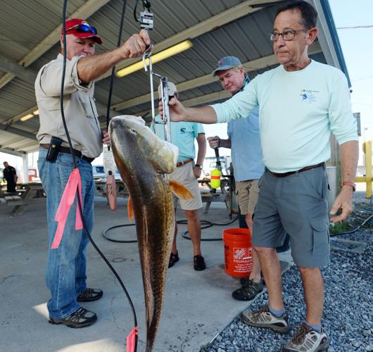 Houma man catches giant 167-pound tarpon in first hours of Grand Isle ...
