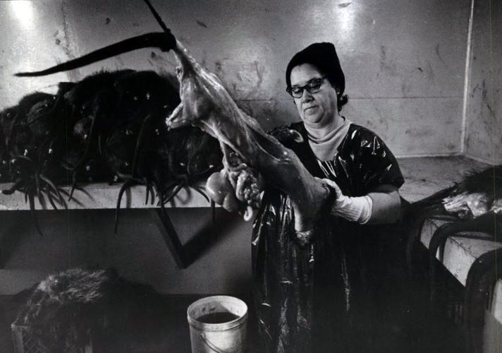 Nutria and the people who wear, hunt and eat them: 30 vintage photos ...
