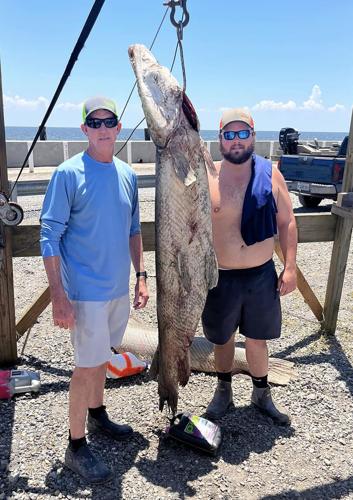 Can't Touch This, Hunter Toomer take home titles at Madisonville Gar ...