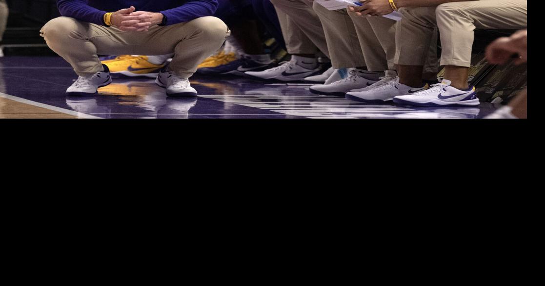 LSU basketball gets another guard from the transfer portal | LSU | nola.com