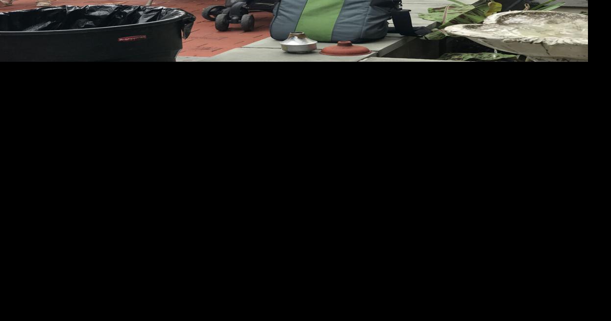 Trinity Lutheran Algiers Oktoberfest.jpg | | nola.com