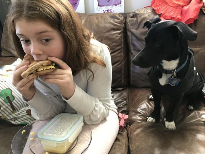 Keith Spera's Paternity Test: a family dog crisis | Keith Spera | nola.com