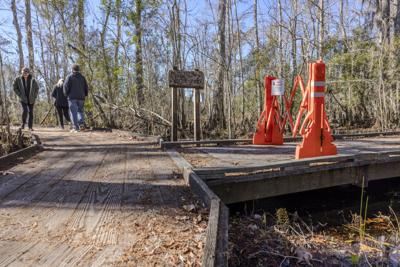 Here's the latest on the Barataria Preserve trails | Jefferson Parish ...