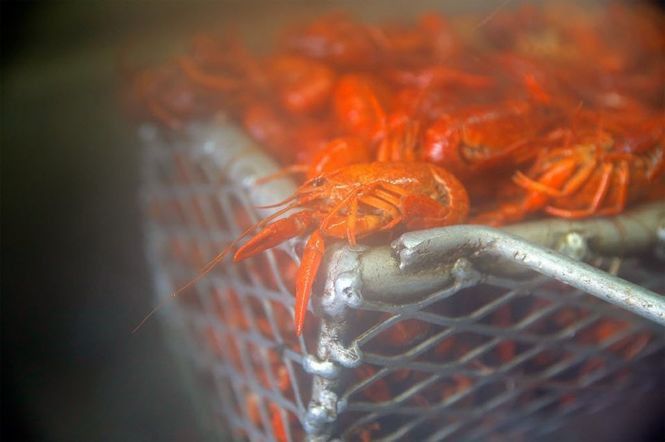 10 best places for boiled crawfish in New Orleans/St. Bernard: NOLA.com ...