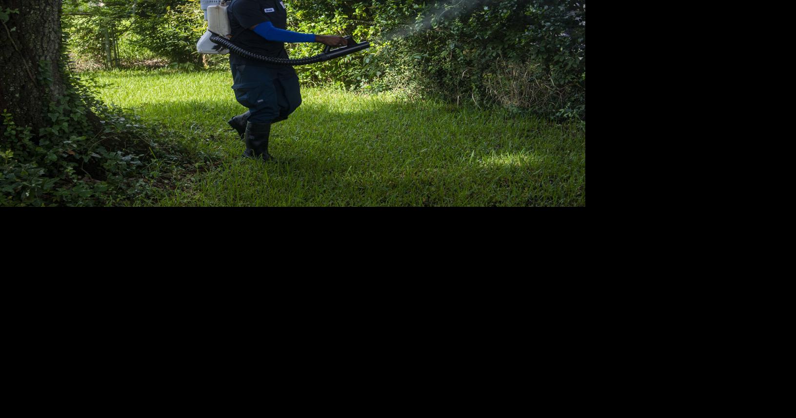 LSU researchers creating a better bug spray | Education | nola.com