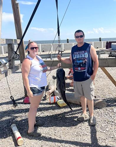 Can't Touch This, Hunter Toomer take home titles at Madisonville Gar ...