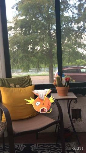 Pokemon Go creatures are popping up all over New Orleans | Arts | nola.com