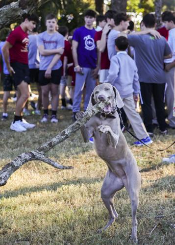 Jesuit's Jack DesRoches sets City Park course record at district cross ...
