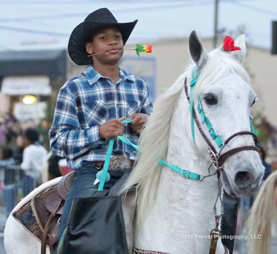 Krewe of Athena rolls in Metairie: See photos from the parade | Archive ...