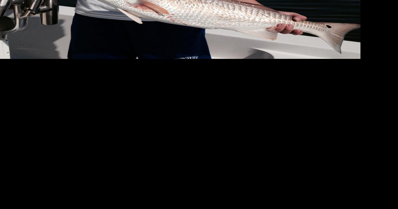 Photographer discovers reason this redfish jumped 2 feet out the water ...