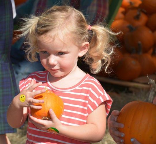 9 pumpkin patches to fall for around New Orleans | Louisiana Festivals ...