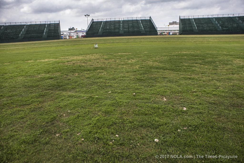 How do fairy rings form? How to get rid of fairy rings? | Home/Garden ...