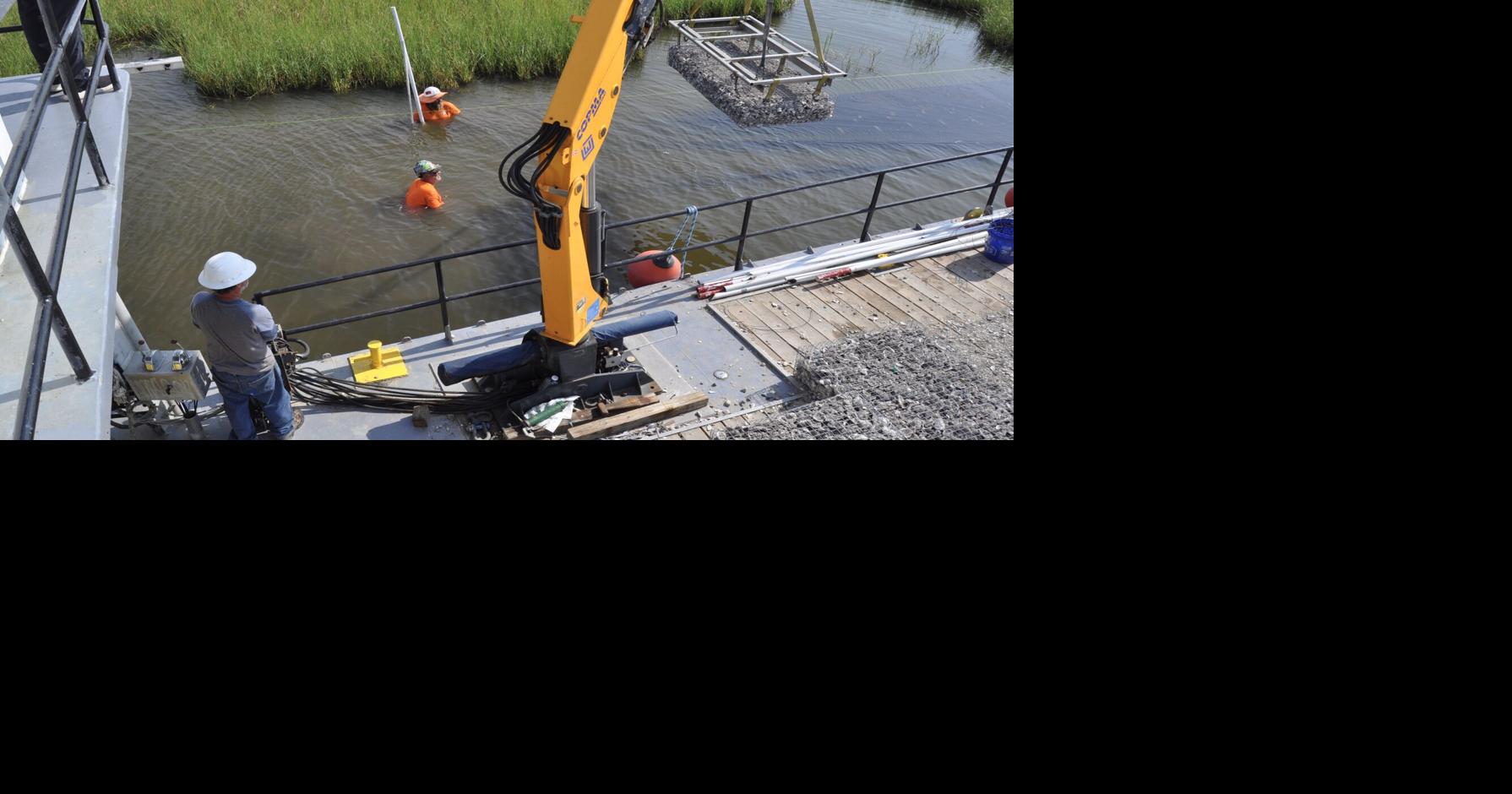 New Orleans restaurants' oyster shells helped save the coast; can they ...