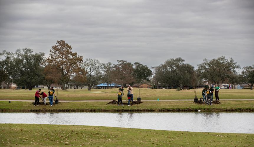 New Orleans tree planting efforts fall short of other cities ...