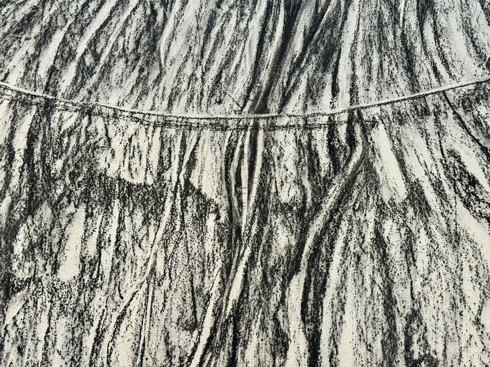 Don’t miss artist Ron Bechet’s gigantic drawings at the CAC | Arts ...