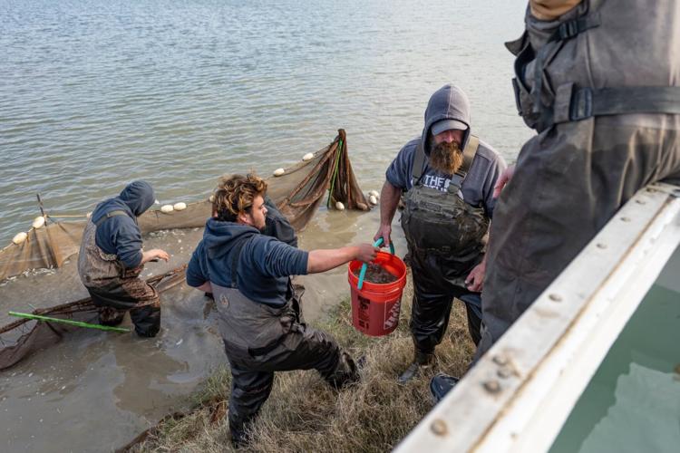 Sponsored: Keo Fish Farms in Arkansas works on conservation | Sponsored ...