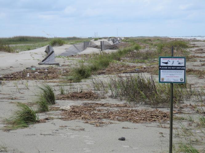 Help wanted on Elmer's Island beach cleanup | Environment | nola.com