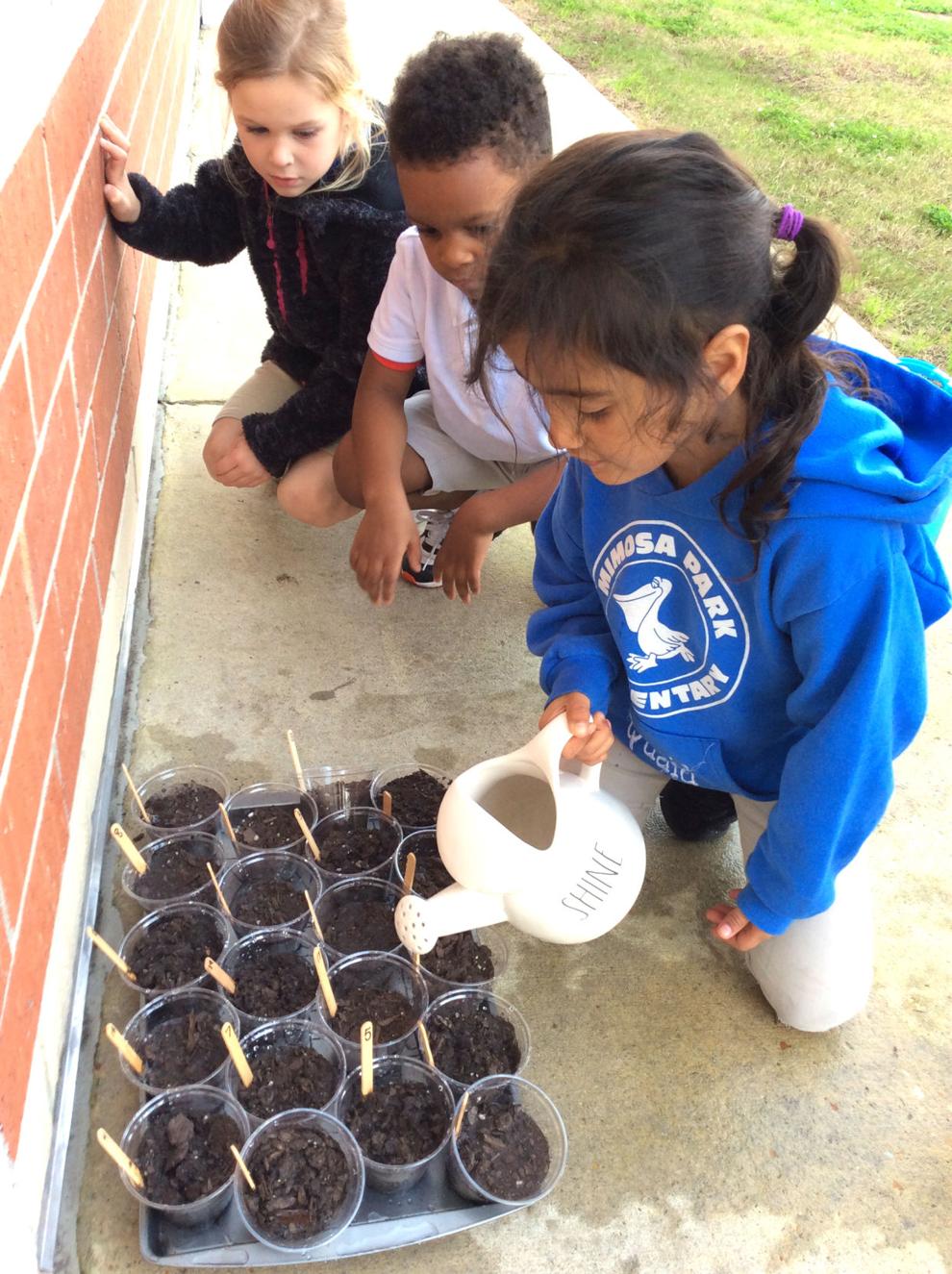 Mimosa Park Elementary School students learn about the life cycle of ...