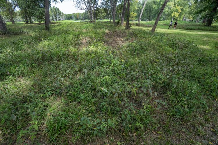 The Mississippi River is eroding sacred Indigenous mounds | | nola.com