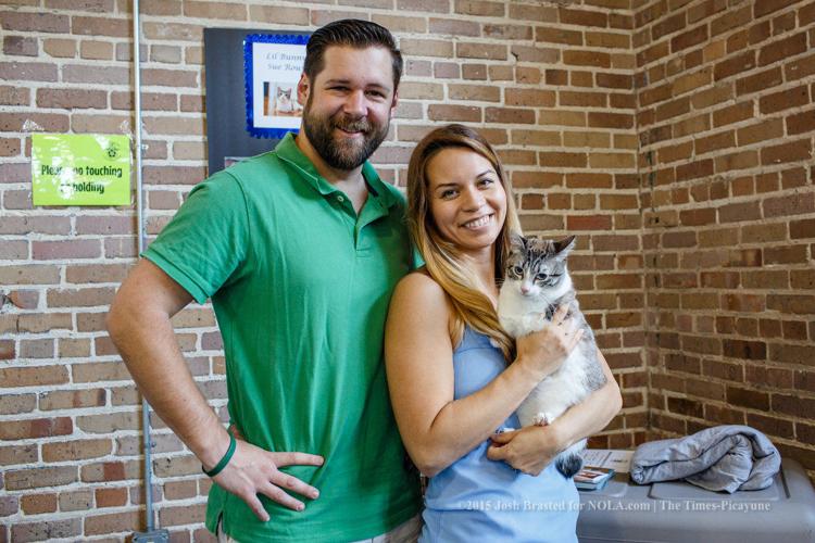 Lil' Bunny Sue Roux among Internet cat video stars at New Orleans Cat ...