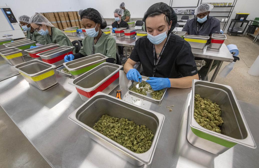Louisiana medical marijuana dispensaries how, where to buy | Business ...