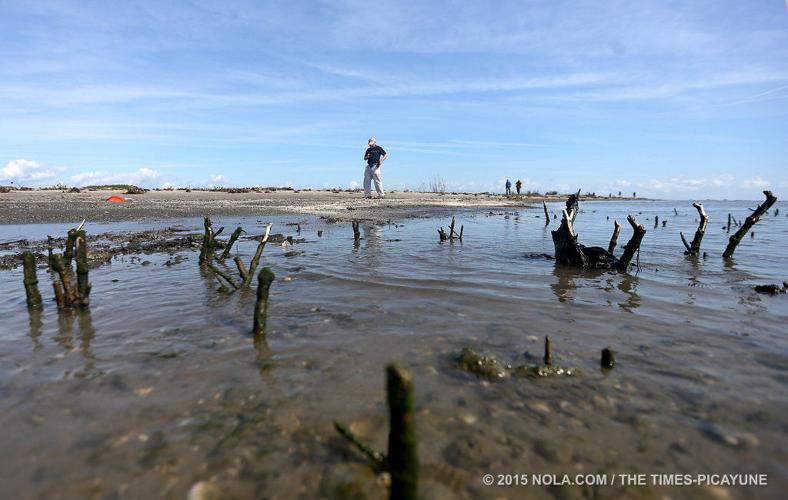 BP oil spill: 5 years later, many environmental effects remain unclear ...