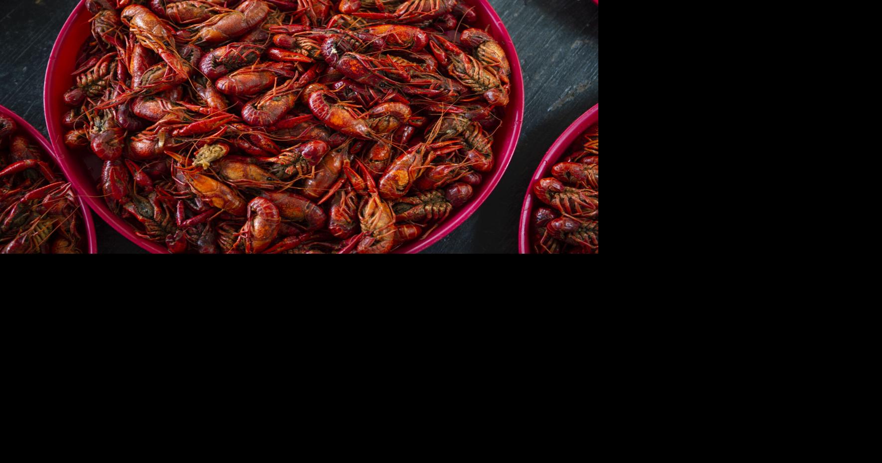 Settlement made in Louisiana migrant workers' crawfish processing suit ...