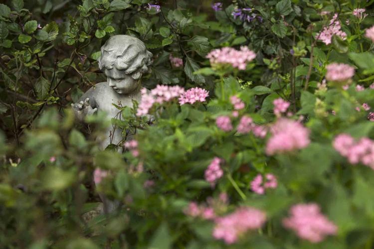 Margaret Orr Finds Gardening Brings Her Closer To The Circle Of Life Homegarden