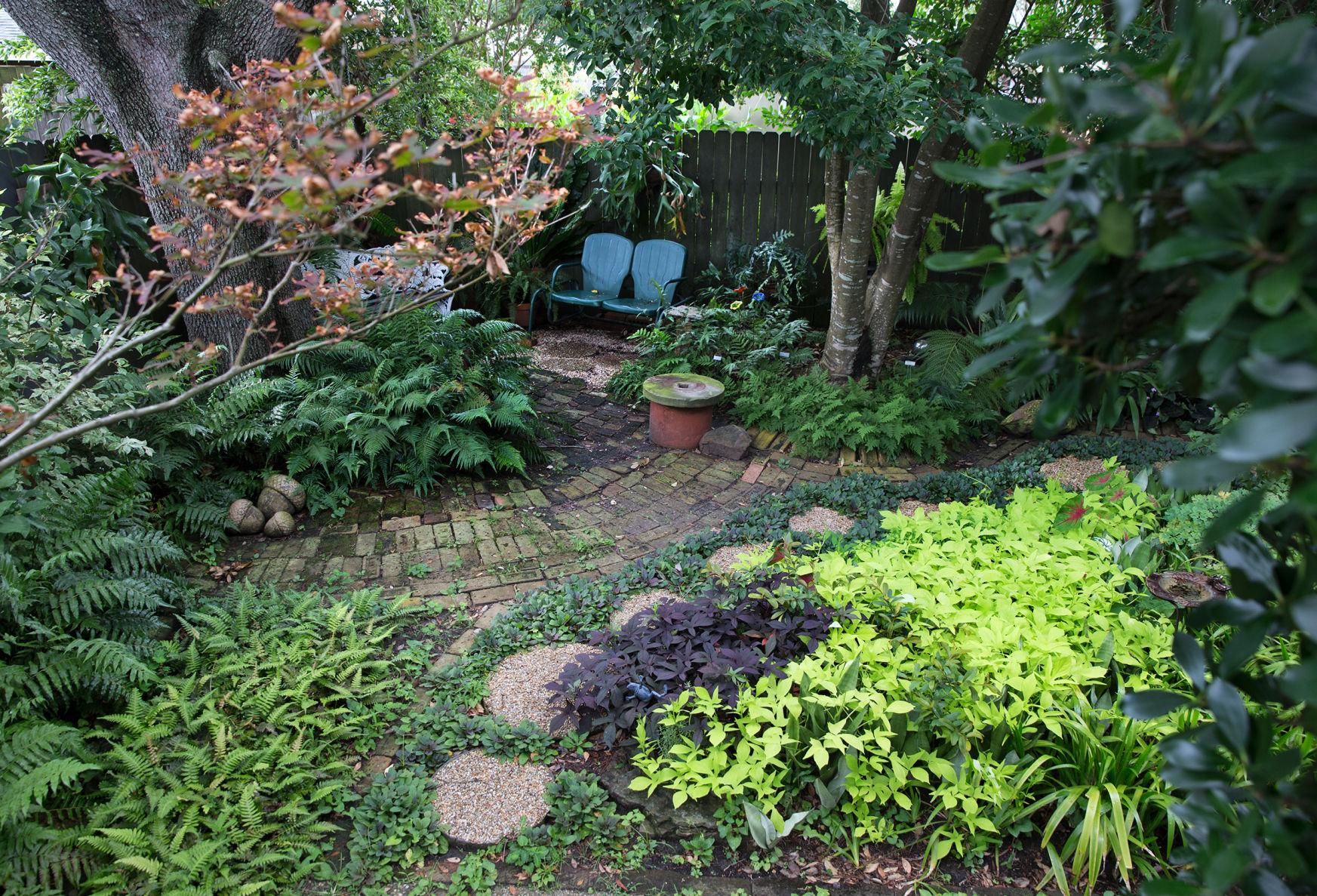 Shady areas can come alive with the right flowers and shurbs | Home ...