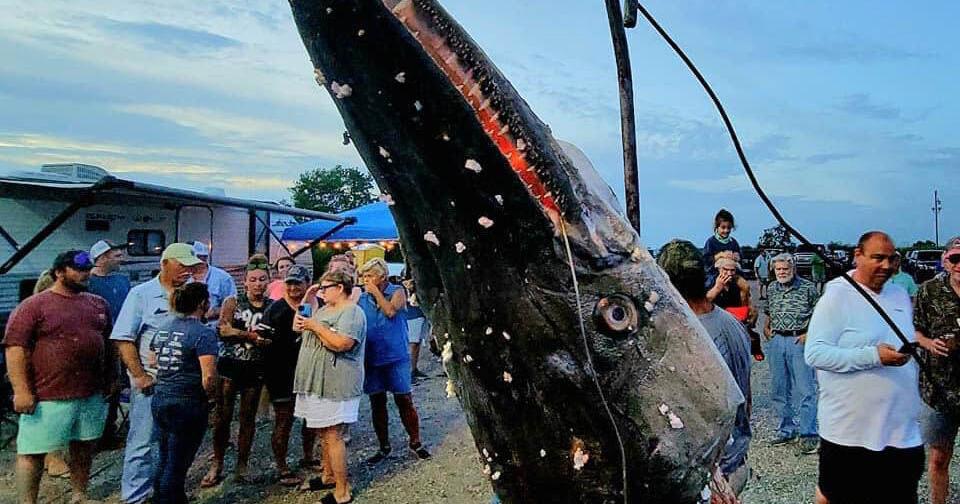Team Scofish takes home title at 48th Madisonville Gar Rodeo | St ...