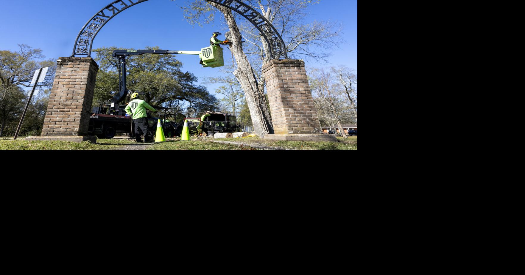 Slidell’s Greenwood Cemetery is cleaning up its tree canopy | One ...