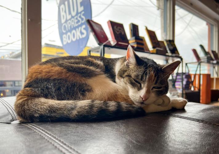 Independent bookstores in Louisiana that locals love | Entertainment ...