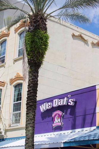 Chicken wings, with a side of inspiration: We Dat's adds third ...
