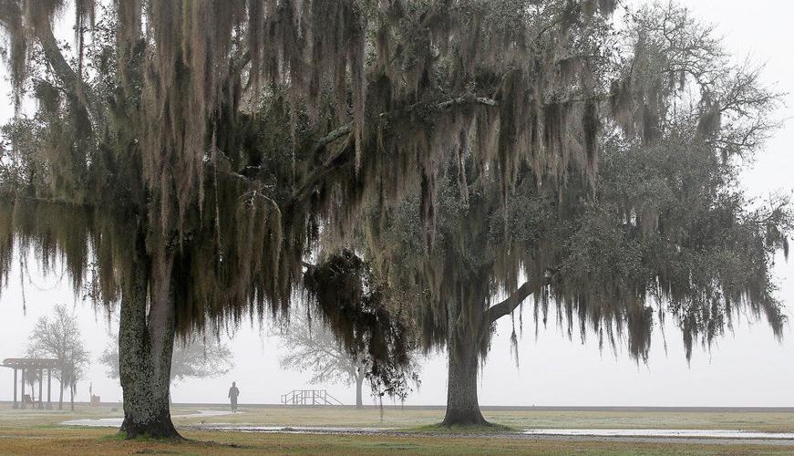 Fog restrictions in effect on Lake Pontchartrain Causeway | Traffic ...