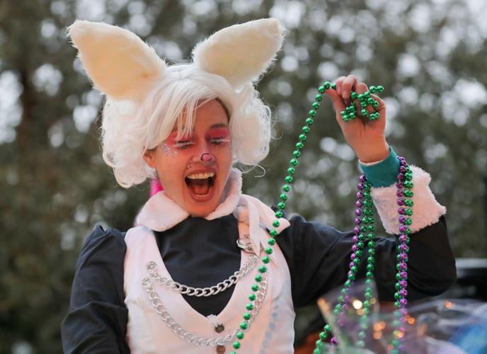 Arthur Hardy previews Mardi Gras 2025 anniversaries, changes ...