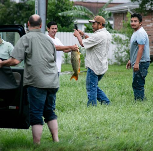 Jefferson Parish updates on Metairie, Kenner flooding | Hurricane ...