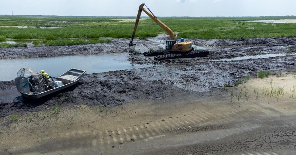 With river's help, new land emerges in Barataria Basin | Environment ...