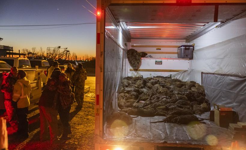 Despite cold and rain, Nutria Rodeo bags 1,900 swamp rats, tops last ...