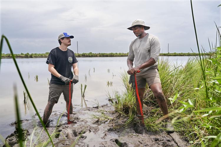 'Shark Beach: Gulf Coast' stars Anthony Mackie for NatGeo | Movies/TV ...