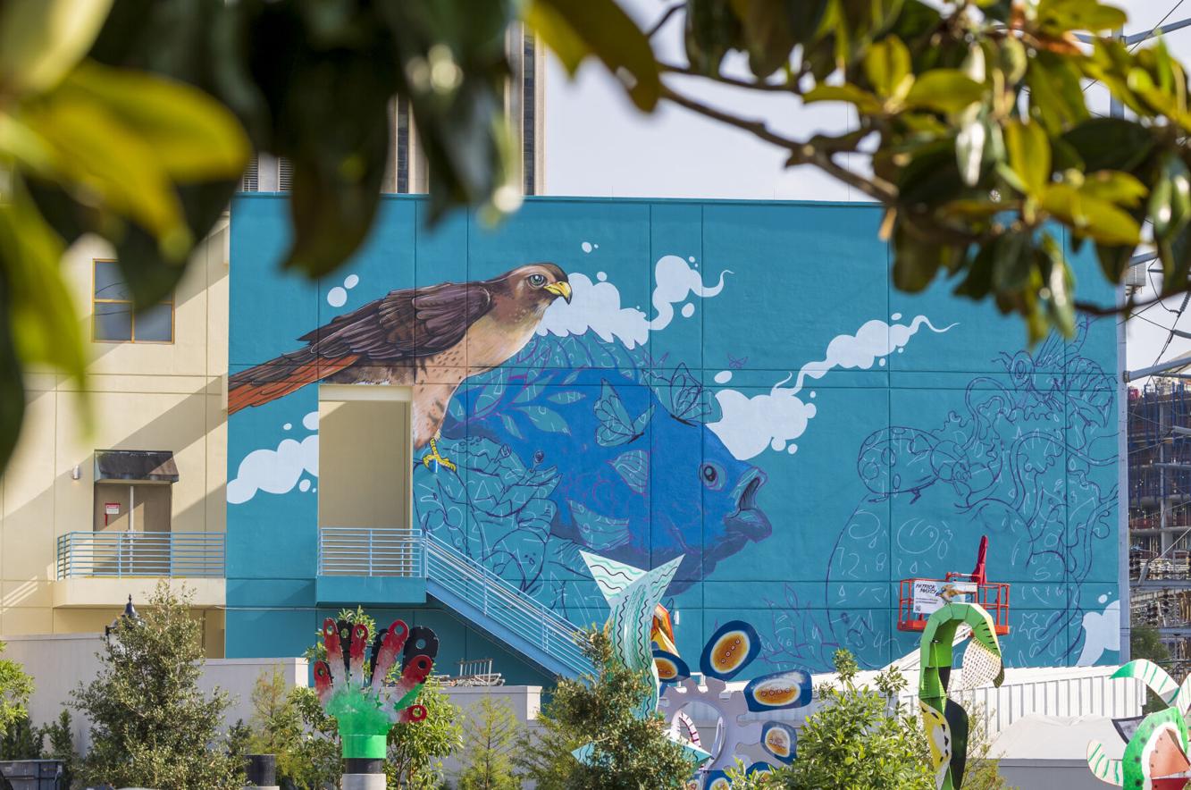 Photo tour of Audubon Aquarium renovations, with insectarium | Photos ...