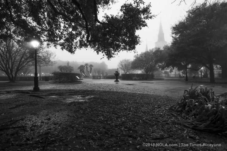 What my camera saw in the New Orleans fog this morning for 30 minutes ...