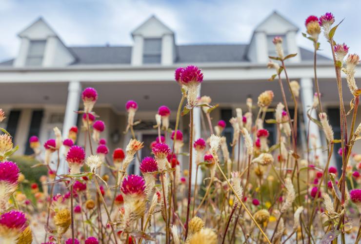 500-plus yards in state are 'Louisiana Certified Habitats ...