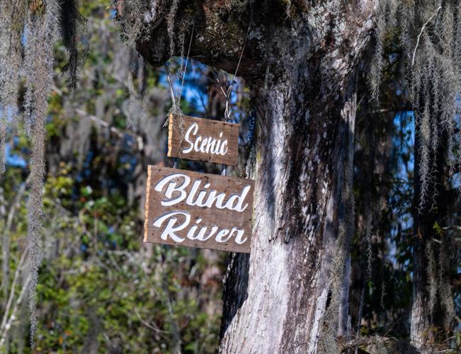 Dying Louisiana swamp to be revived with unique project | Environment | nola.com