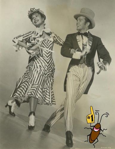 How to properly stomp a cockroach ... or learn to love them | Archive ...