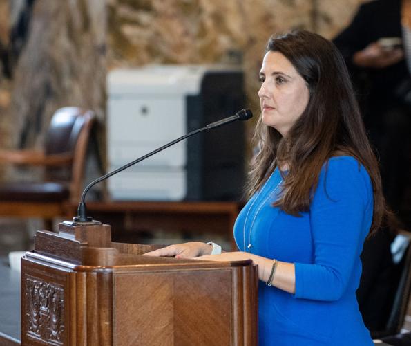 Who is Madison O’Malley and how has the House race between her and ...